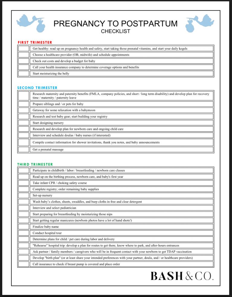 What to Do When Expecting - The Complete Pregnancy Checklist - Bash & Co.